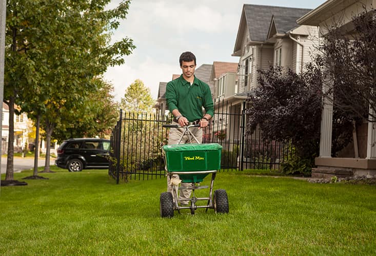 Local Specials Weed Man Lawn Care Coupons local-specials-weed-man-lawn-care-coupons
